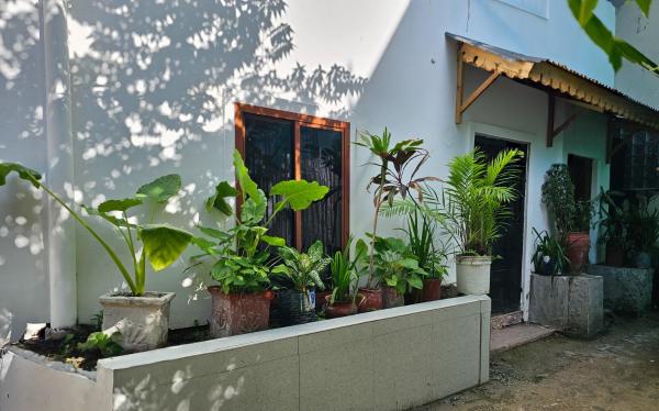 Jacob's Inn - Zanzibar