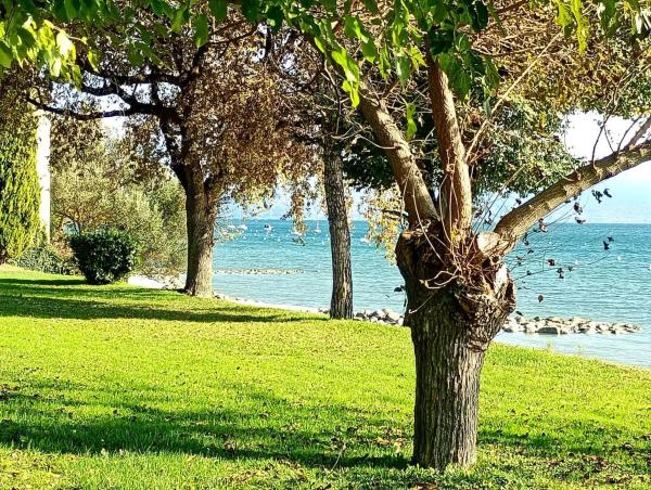 Il Melograno Apartment - Moniga del Garda