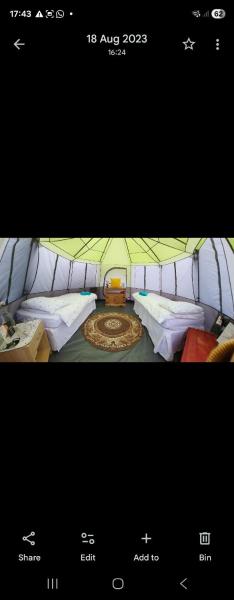 3 Glamping Tents - Glastonbury