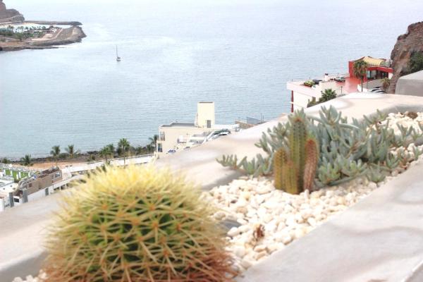 Terrasol Con Cactus Monsenor - Mogán