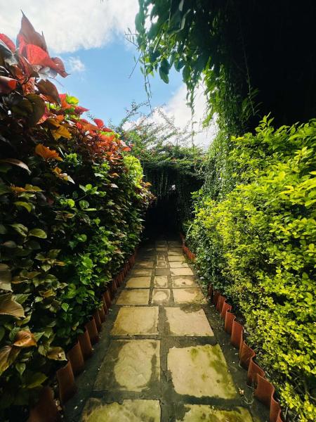 Istaqbal Hotel Mukki - Chhattisgarh