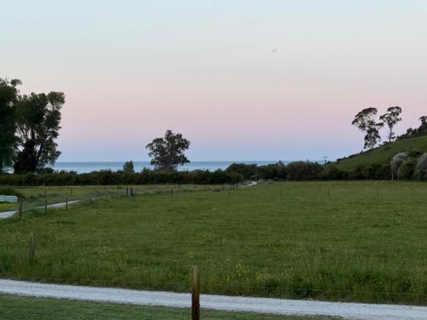 The Salty Cow - West Coast