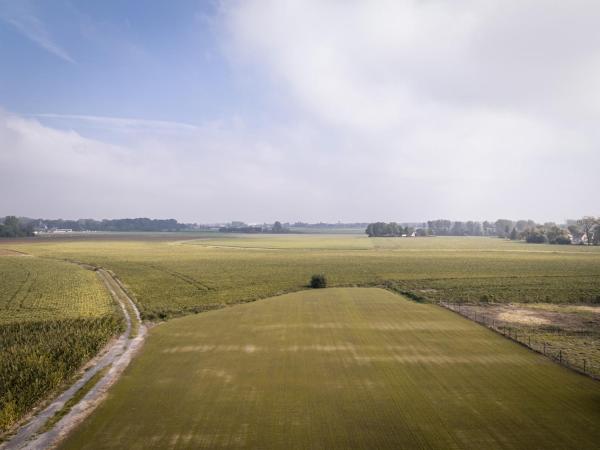 Ferme Baliolo - Tournai