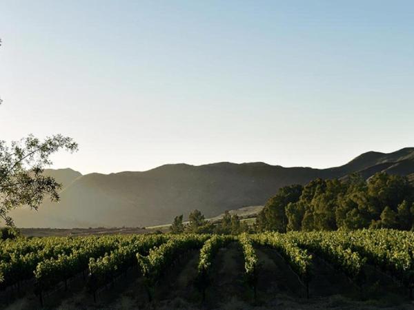 Arendsig Wine Estate And River Eco Cabin - Bonnievale