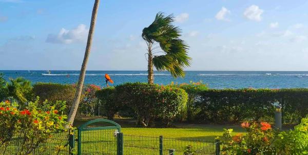 Savannah Guadeloupe - Saint-François