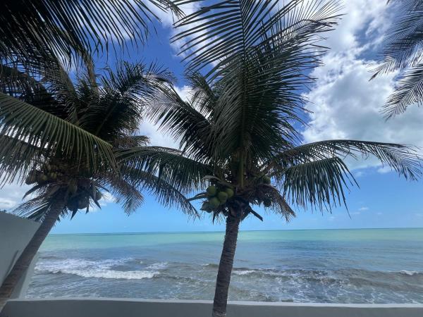 Casa La France - Fortaleza