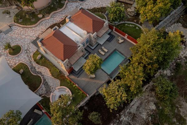 Wild Forest By Nirvana - Sasan Gir