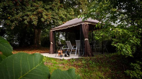 Le Petit Mona Elowen - Lussac-les-Châteaux