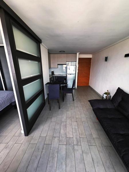 Comodo Departamento En El Corazon Del Centro - Santiago