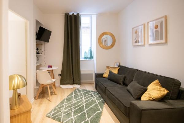 Suite De Charme Rénovée Près De L Opéra De Lyon - Musée d'histoire naturelle - Guimet