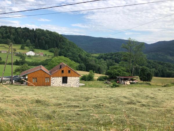 Maison Conviviale à Saulxures-sur-moselotte Avec Sauna - Vosges