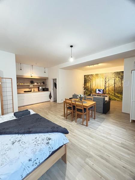 Ubytování V Srdci Písku - Písek