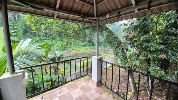 River Mist - Kuttikkanam