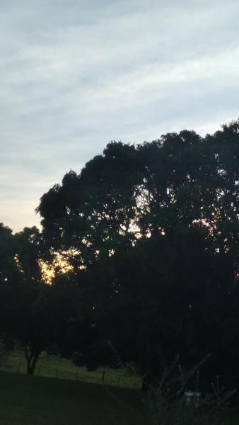 Hotel Kaeru - Avaré