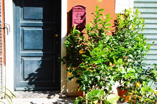 Casa Terrazza Marino - Monterosso al Mare