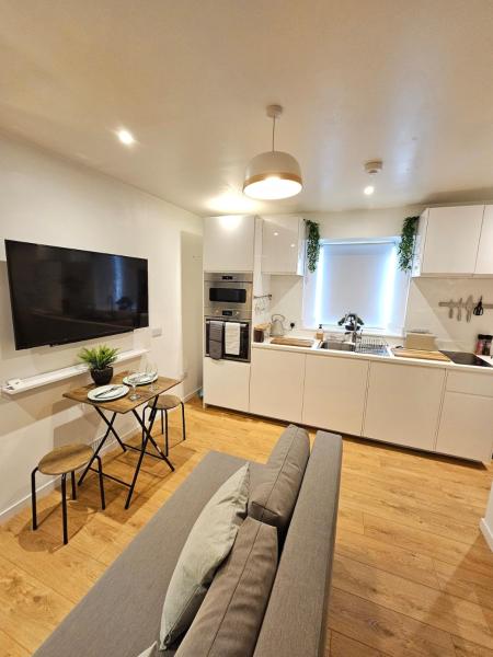 Inverness City Centre Studio Flat - 印威內斯