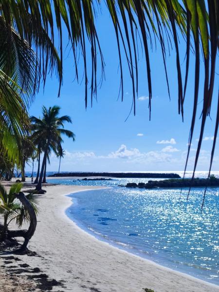 Sable Dorée - Guadeloupe