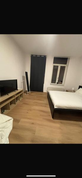 Luxury 3-bedroom Residence With Beautiful Garden Space - Bruxelles