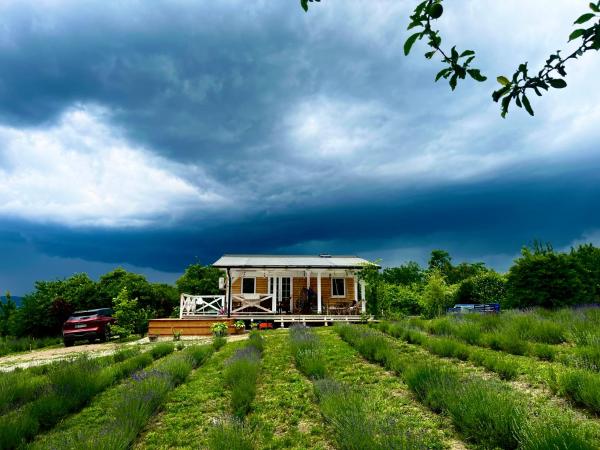 Lavender Lodge Retreat - Balatonfenyves