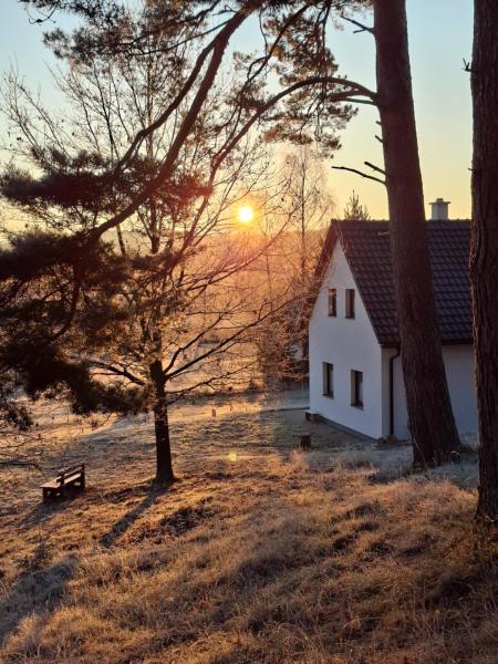 Klidná Lokalita Na Kraji Lesa, Celý Dům S úSchovnu Kol - Waldviertel