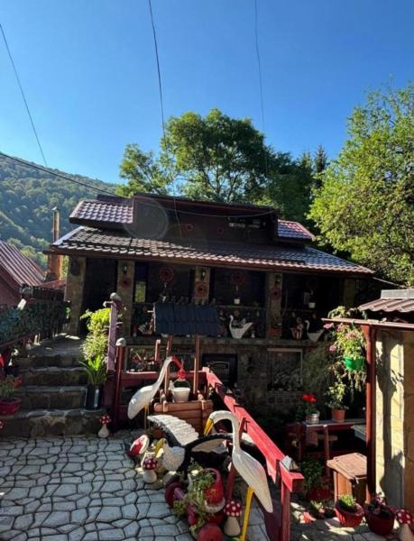 Vila Movila Revelion 2026 - Sinaia