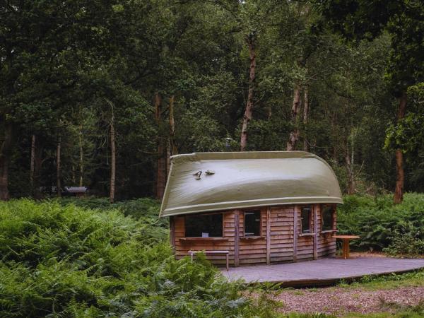 Westacre Bradmoor Woods - Norfolk