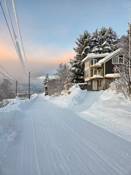 Senja, Skaland Apartment - Troms