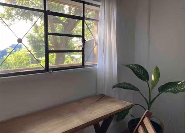 Luminoso Exuberante Y Hermoso Refugio - Oaxaca