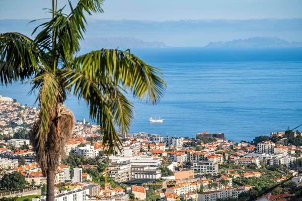 Flory House By Alma Holiday Rentals - Funchal
