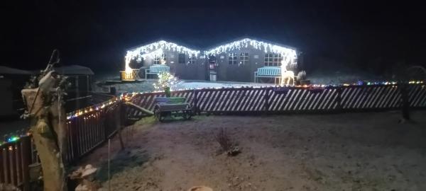 Alpaca Hideaway - Shropshire