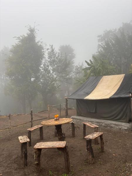 Uddibaba Camp Rishikesh - Rishikesh