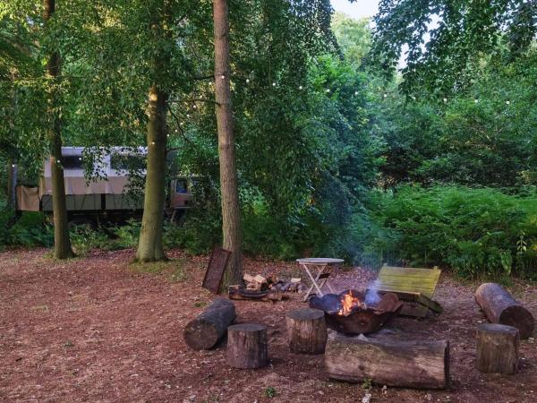 Westacre 4 Ton Tents - Norfolk