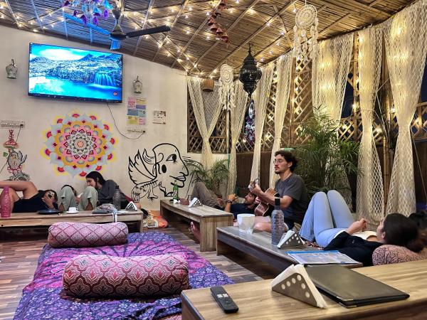 Flamingos Hostel Jaipur - Jaipur