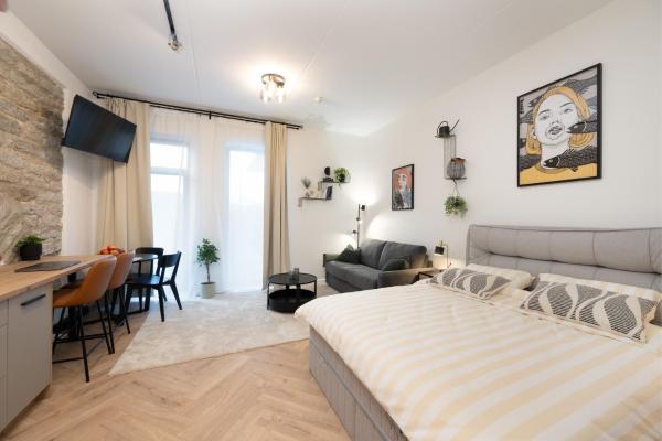Volta Studio Loft Tallinn - Tallin
