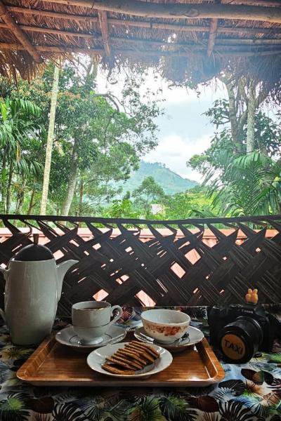 Misty Mount Resort - Sri Lanka