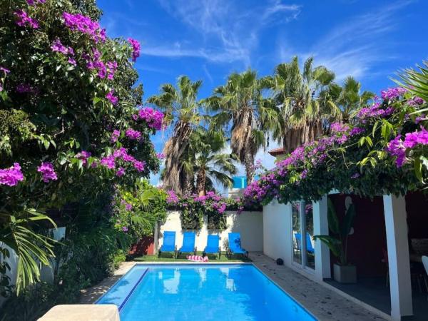 Merlot Villas Aruba Private Pool 500 Yrds From Palm Beach - Aruba