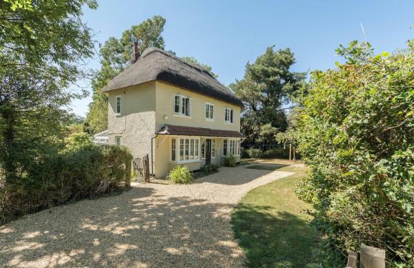 Wonderful Thatched Cottage In The New Forest National Park - Lyndhurst