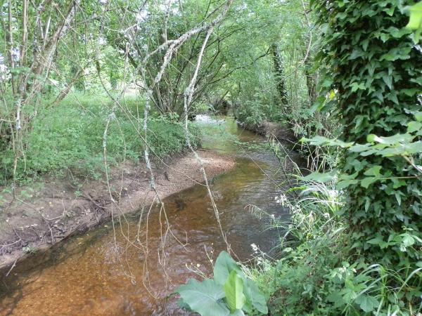 Chambres D'hôtes Du Prieur - Pessac