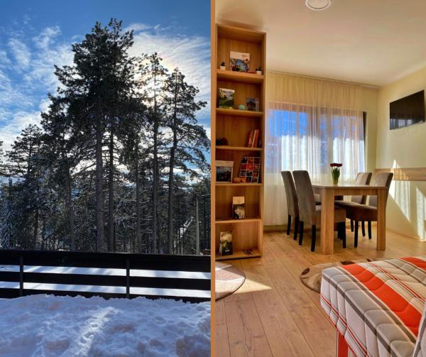 Vila Mirjana Tara - Bajina Bašta