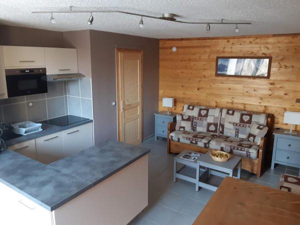 Appartement Rénové 1 Chambre - 6 Personnes - Animaux Admis - Fr-1-836-34 - Les Carroz d'Arâches