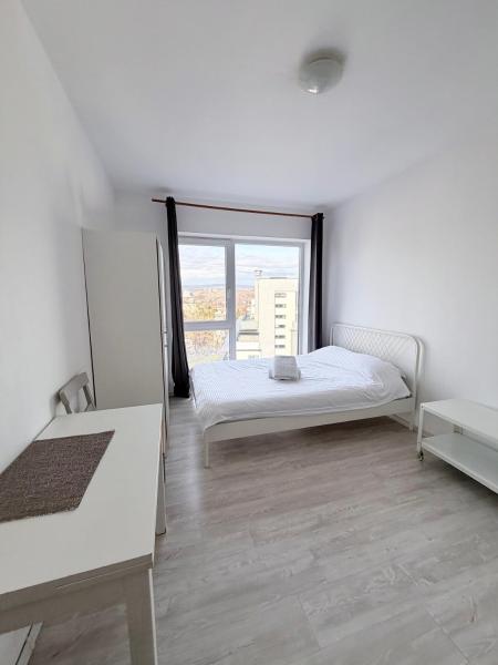 Cozy Studio Near The Center Of Cluj - Cluj-Napoca