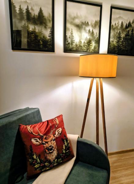 Apartament Krynica Central - Krynica-Zdrój