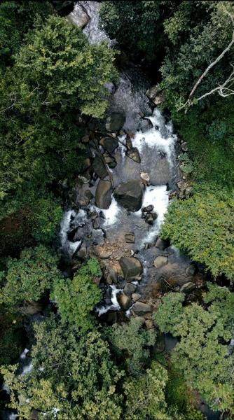 Hill Rows Estate By Greenescapes - Kerala