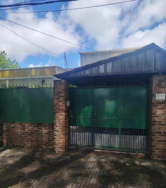 Murillo - Montevidéu