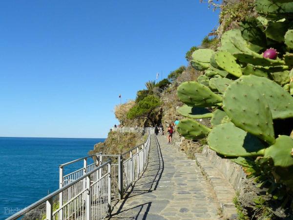 Camping La Sfinge - Bonassola