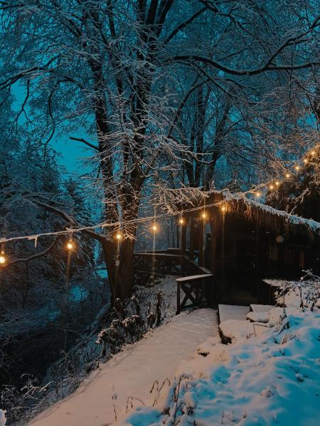 Ostoja Nad Potokiem Dwernik - Bieszczadzki Park Narodowy