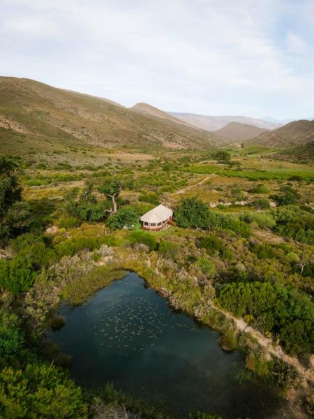 Majestic Wonders - Knysna