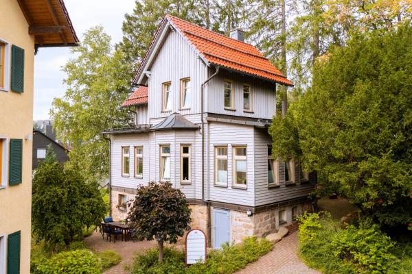 Villa Waldidyll In Braunlage - Ilsenburg (Harz)