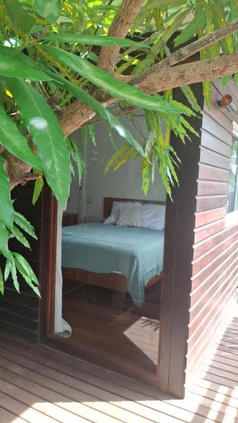 La Case - French Guiana