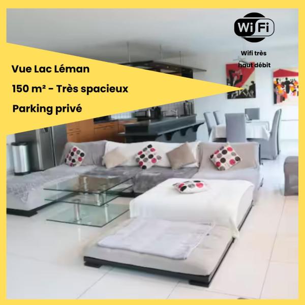 Magnifique T3 Spacieux De 150 M Carrés Vue Lac Léman - Morges
